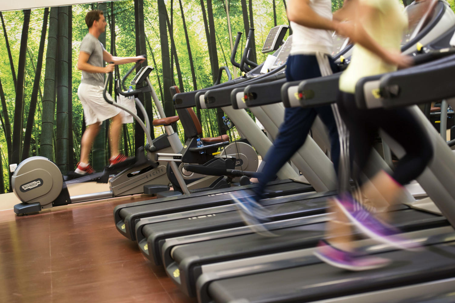Why Every University Student Should Make Fitness a Part of their Lives ...